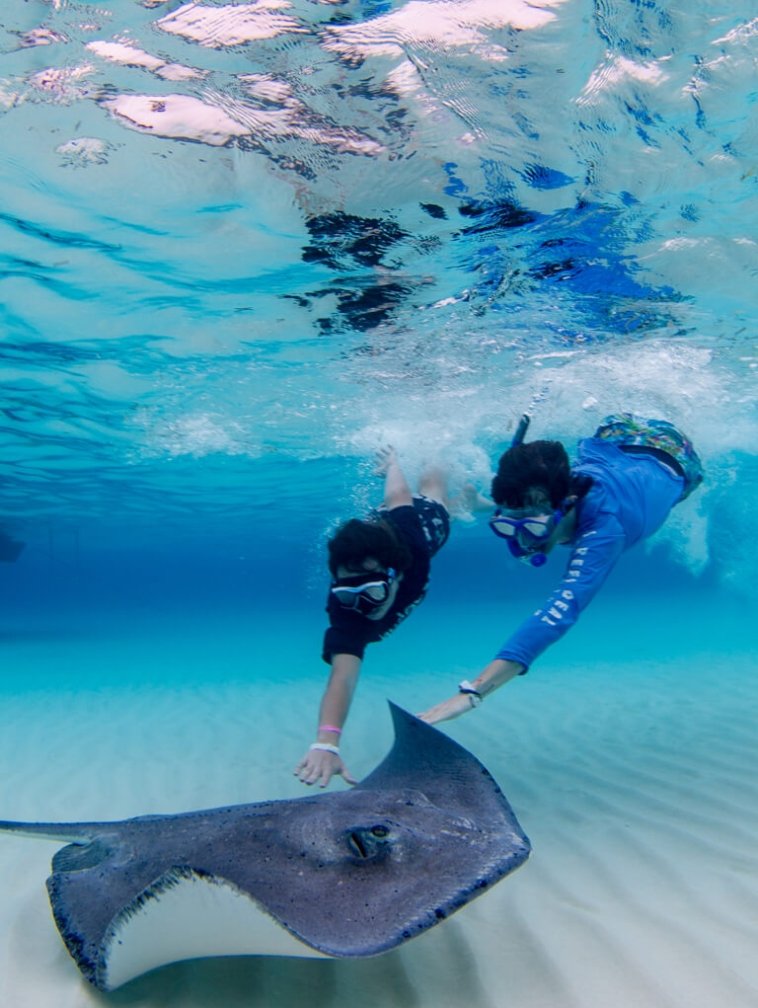 Private Boat Charters in Grand Cayman | Snorkeling, Fishing, Stingray ...